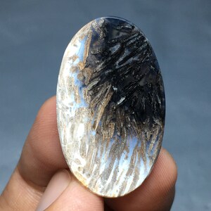 Rare Natural Agatized Petrified Palm Wood Fossil Cabochon, Petrified ...