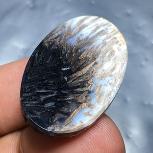 Rare Natural Agatized Petrified Palm Wood Fossil Cabochon, Petrified ...