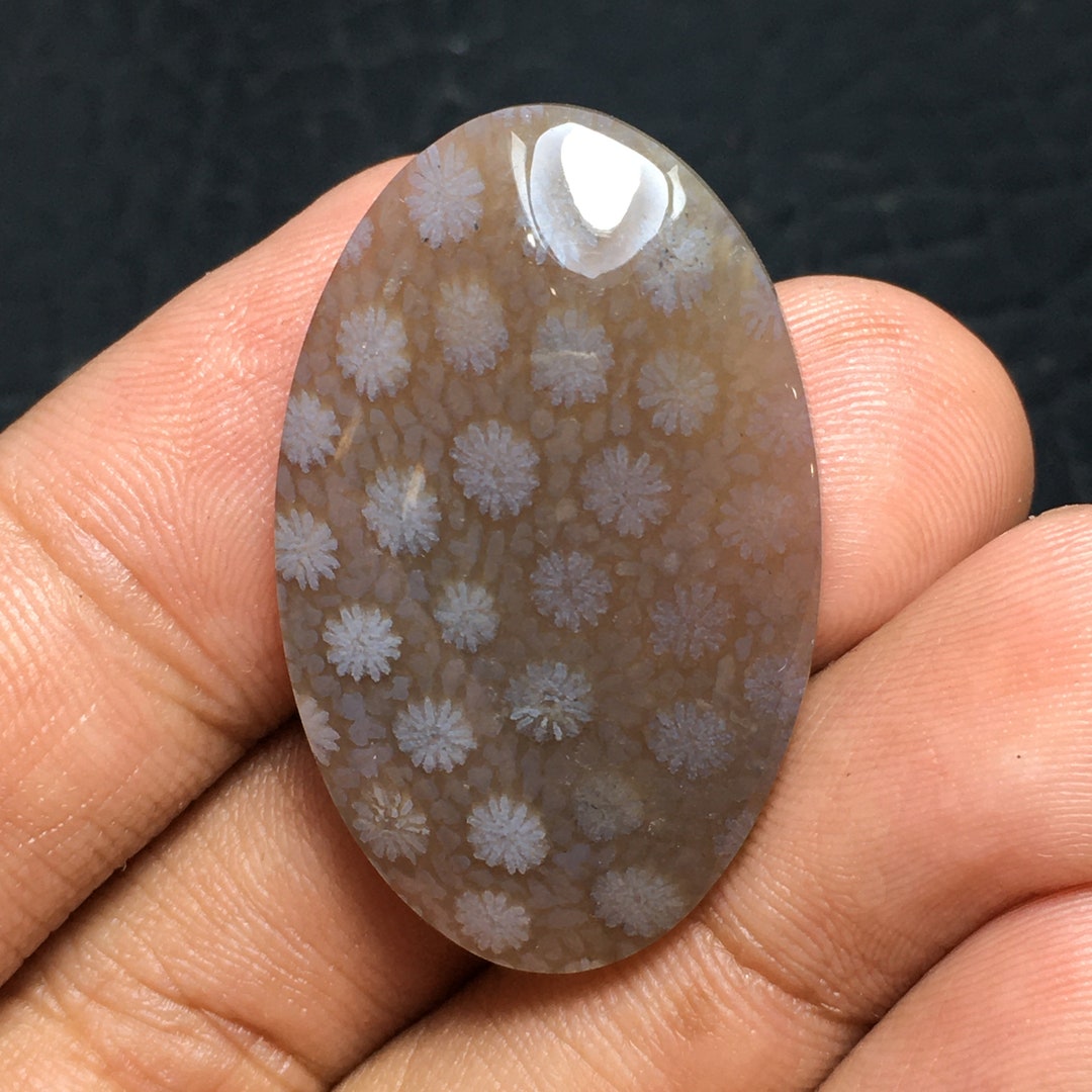 Lotus Flower Agatized Fossil Coral Cabochon 35x22x6 Mm - Etsy
