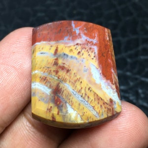 Multicolor Agatized Petrified Palm Wood Fossil Cabochon 29x20x5 Mm - Etsy