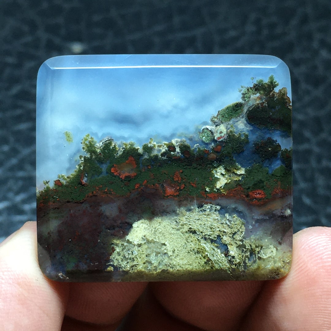Natural Beauty Revealed Stunning Multicolor Scenic Moss - Etsy
