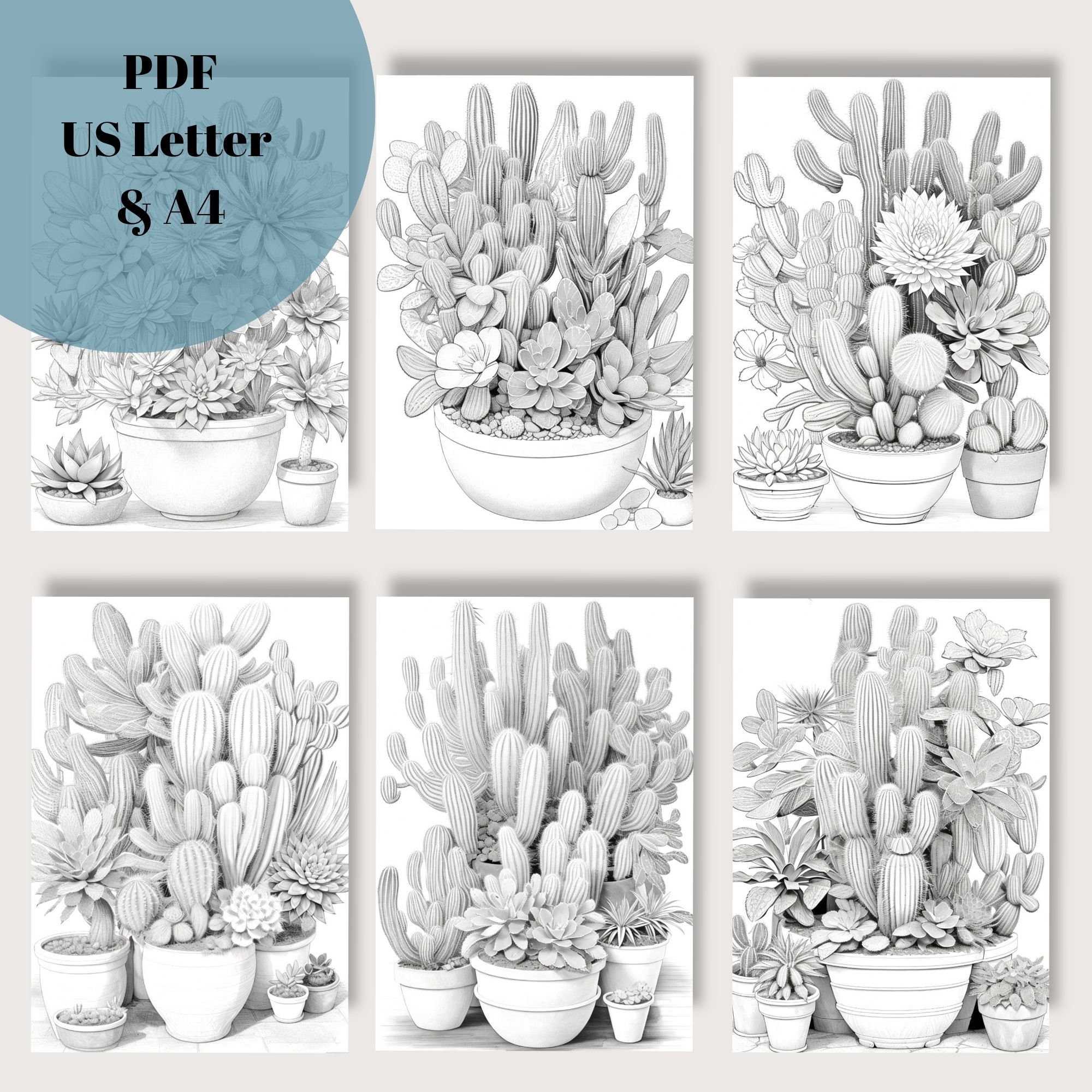 50 Blooming Desert Coloring Pages for Adults and Kids,cactus Digital ...