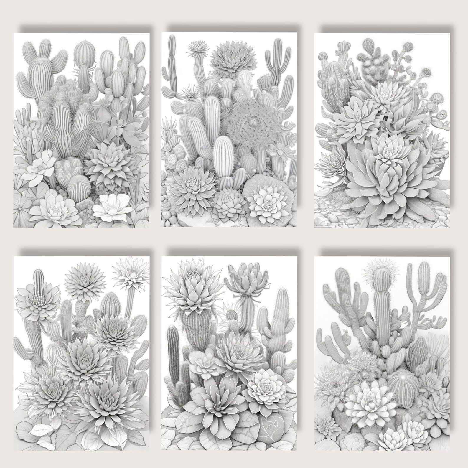 50 Blooming Desert Coloring Pages for Adults and Kids,cactus Digital ...