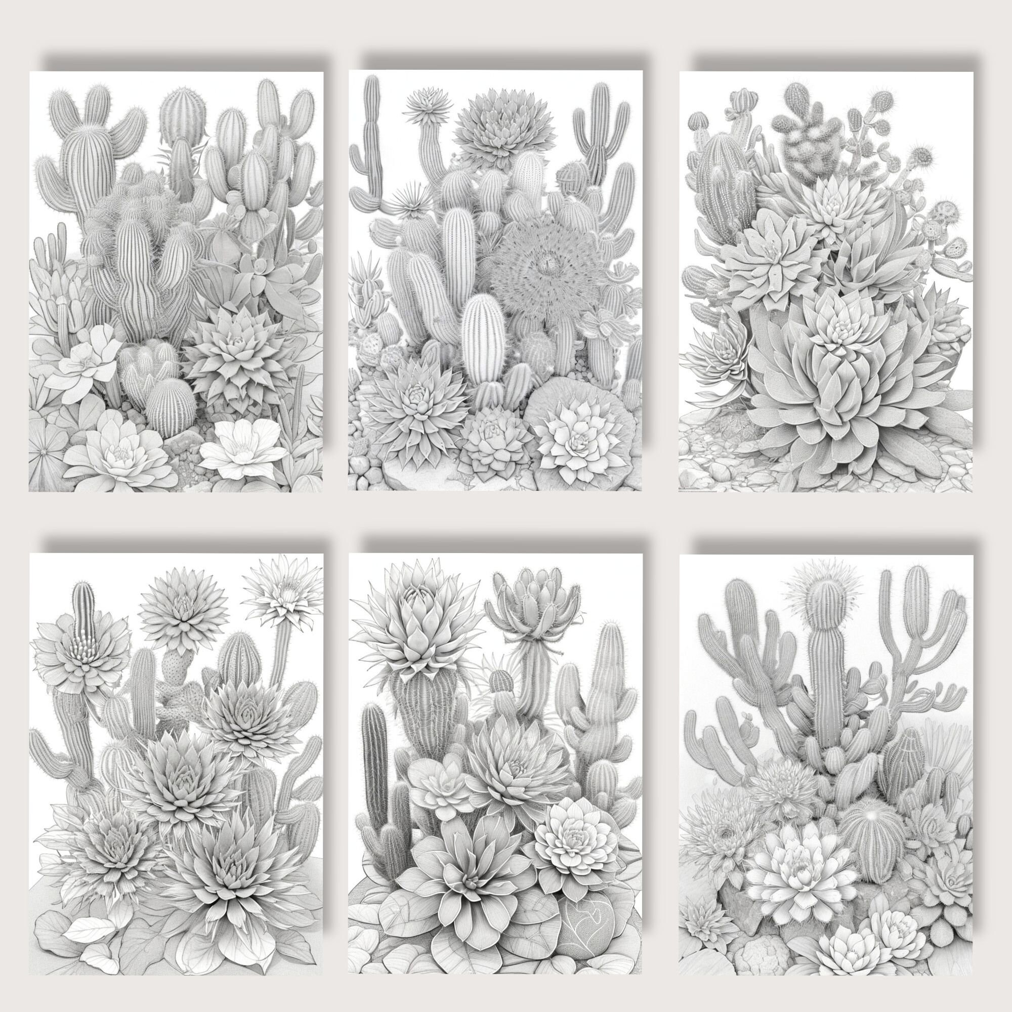 50 Blooming Desert Coloring Pages for Adults and Kids,cactus Digital ...