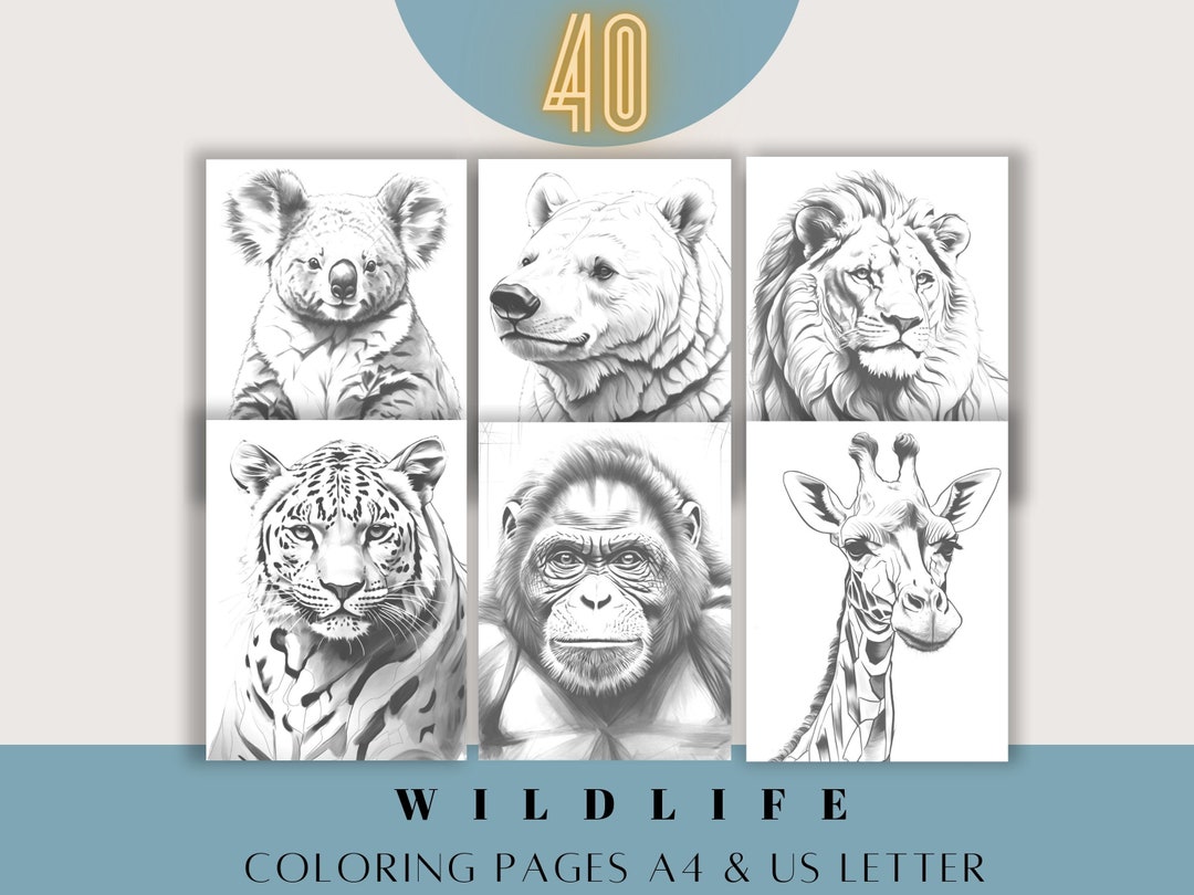 40 Wild Animals Coloring Pages,download Grayscale Illustration,jungle ...