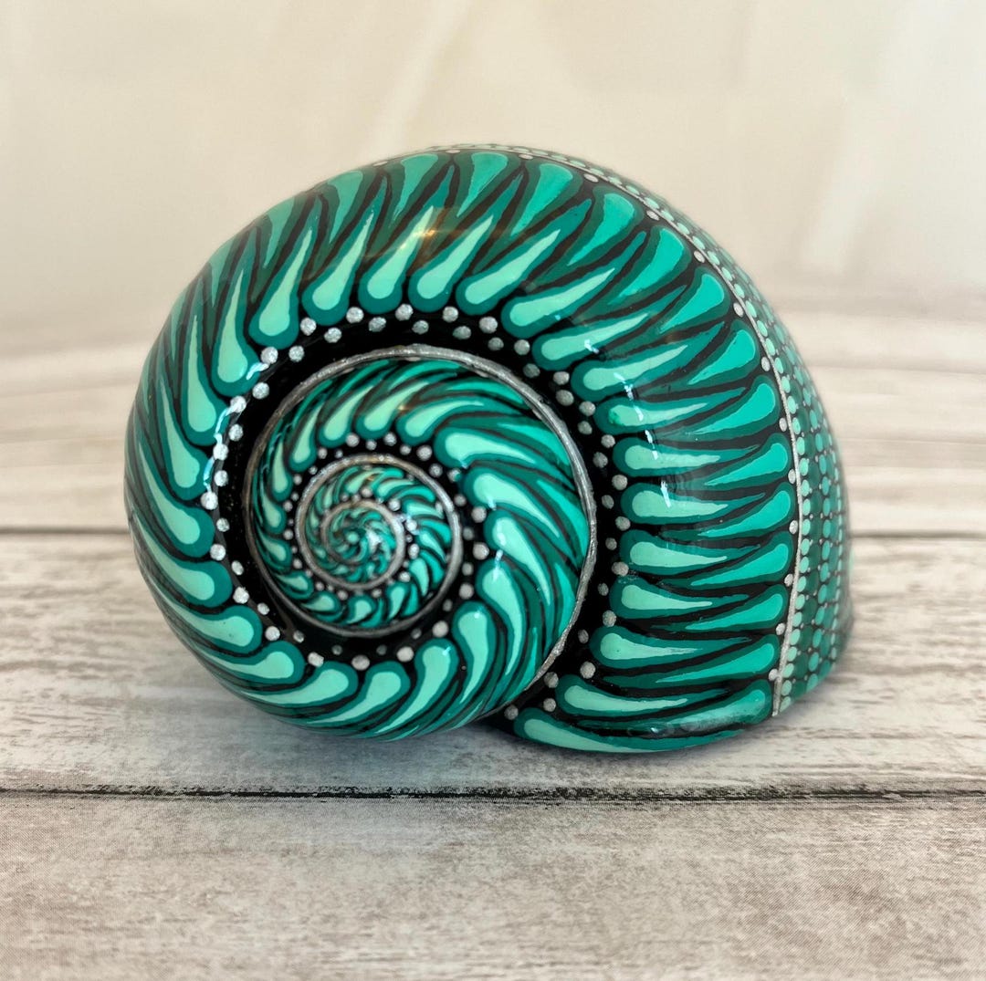 Handmade, Hand Painted, Dot Art Sea Snail Shell, Decor, Home Decor ...
