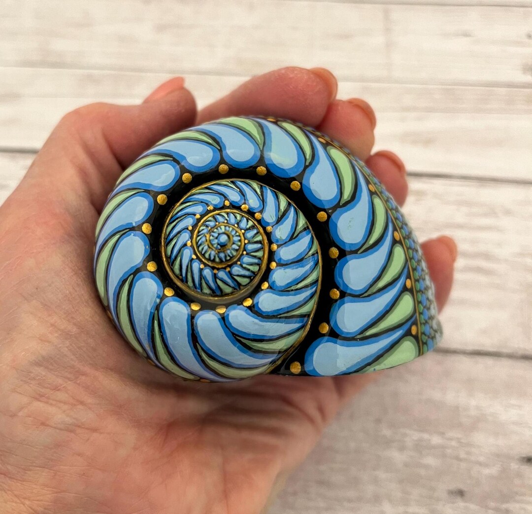 Handmade, Hand Painted, Dot Art Sea Snail Shell, Decor, Home Decor ...