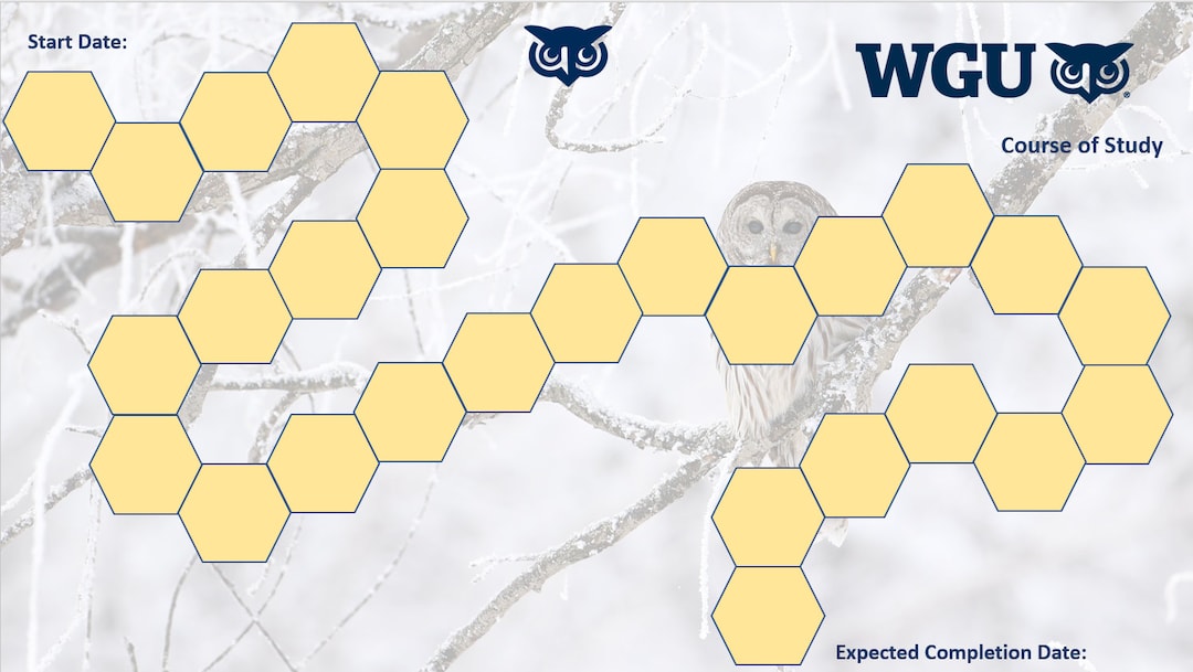 WGU Progress Chart - Etsy
