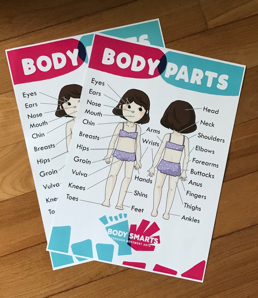 Body Parts / Anatomy / Sex Ed / Private Parts Poster / Printables ...