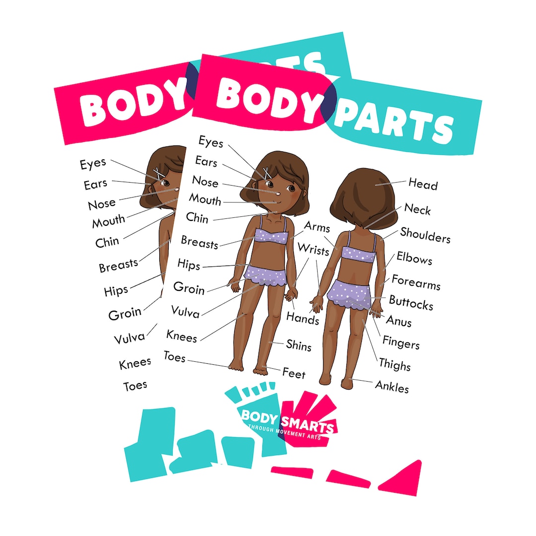 Body Parts / Anatomy / Sex Ed / Private Parts Poster / - Etsy
