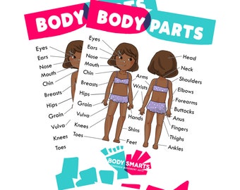 Body Parts / Anatomy / Sex Ed / Private Parts Poster / Printables ...