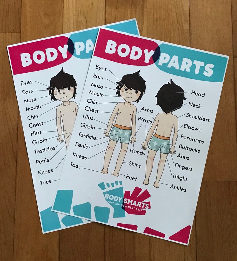 Anatomy / Body Safety Education Poster / Printables (male) - Etsy