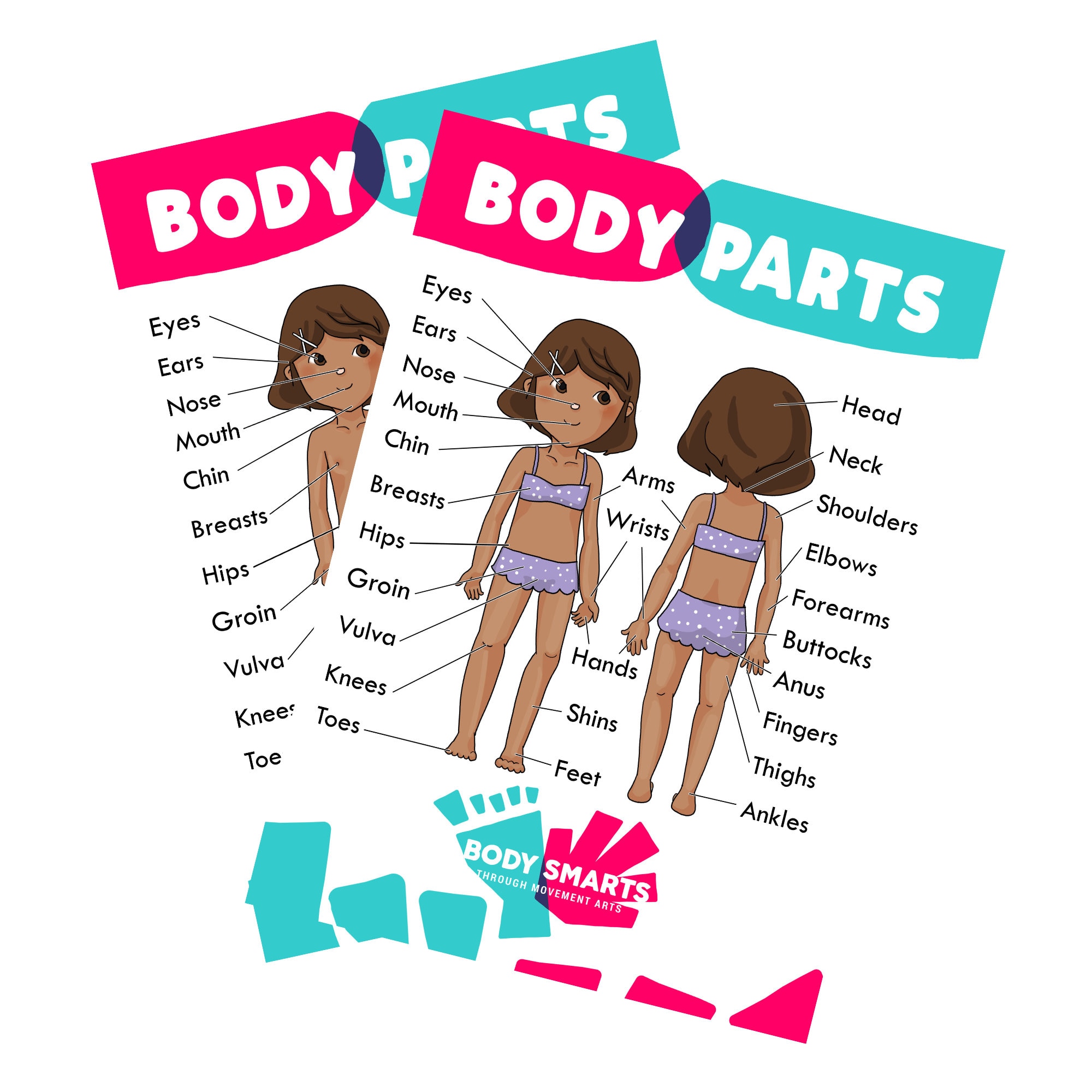 Body Parts Anatomy Sex Ed Private Parts Poster Printables Female Double Side Etsy
