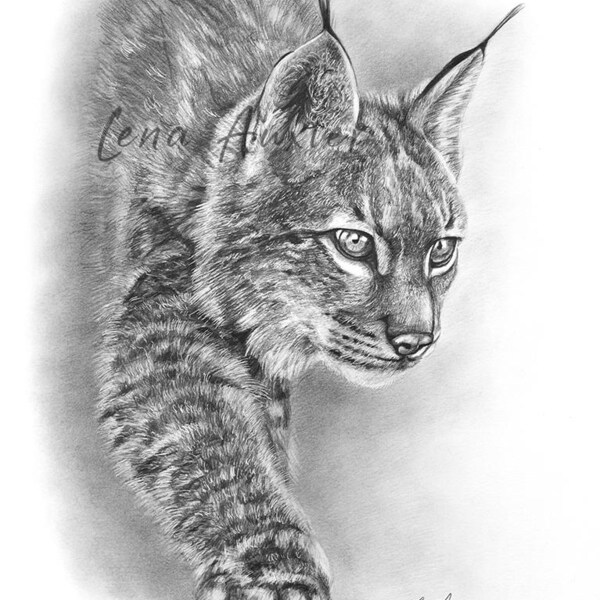 Original Hand Drawn - Etsy