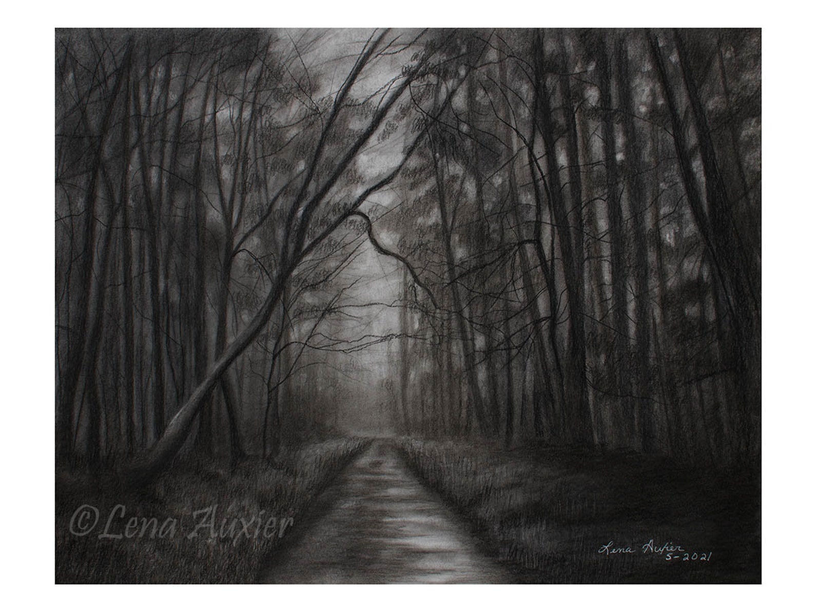 Dark Wooded Forest ORIGINAL Charcoal Pencil Drawing, 11x14, Spooky ...