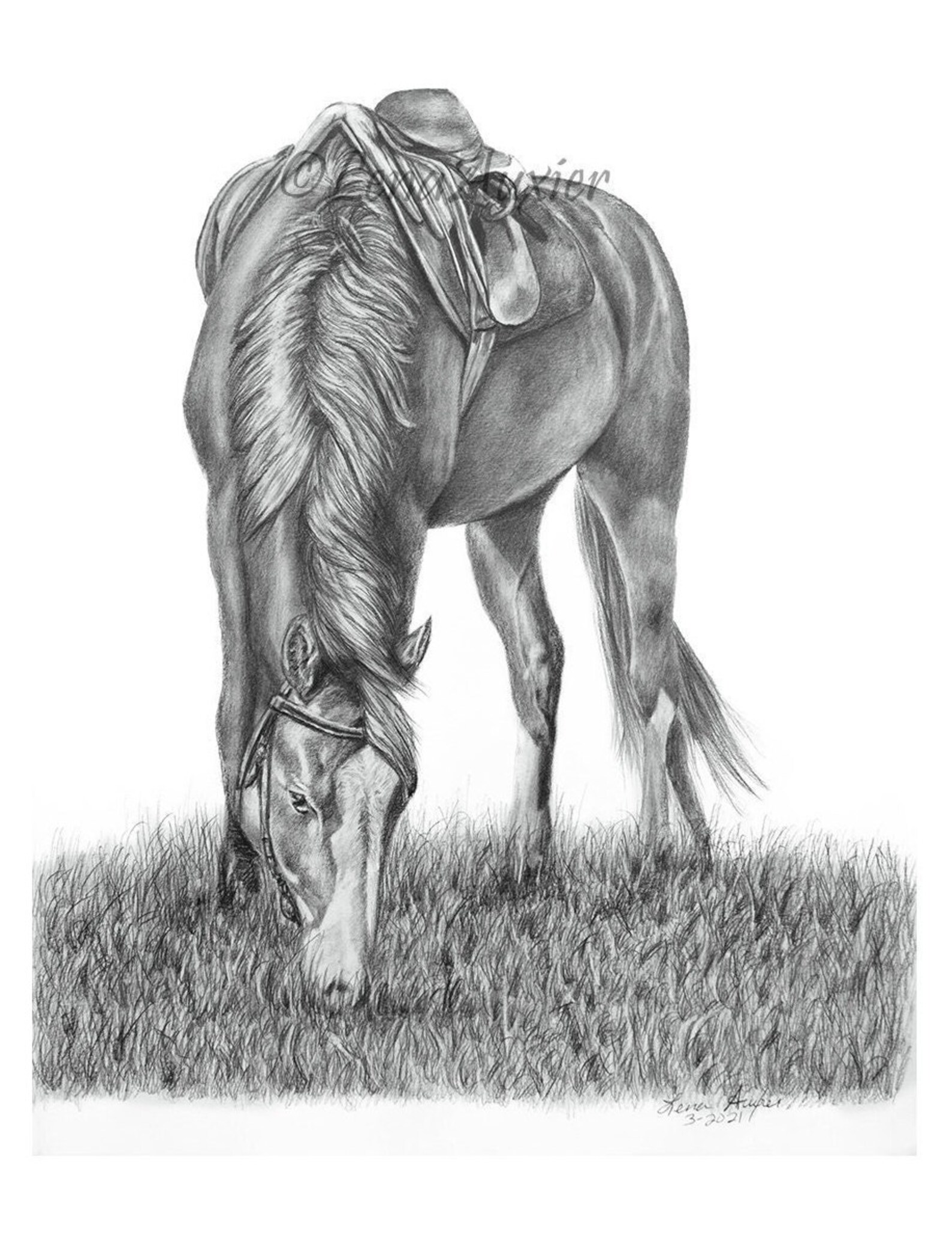 Pet Horse Saddle ORIGINAL Pencil Drawing, 11x14, Animal Portrait Fine ...