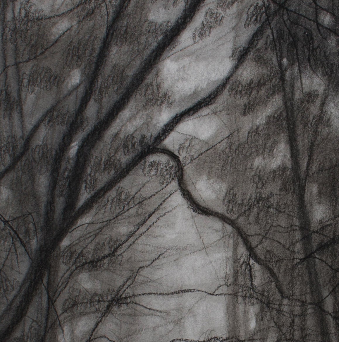 Dark Wooded Forest ORIGINAL Charcoal Pencil Drawing, 11x14, Spooky ...