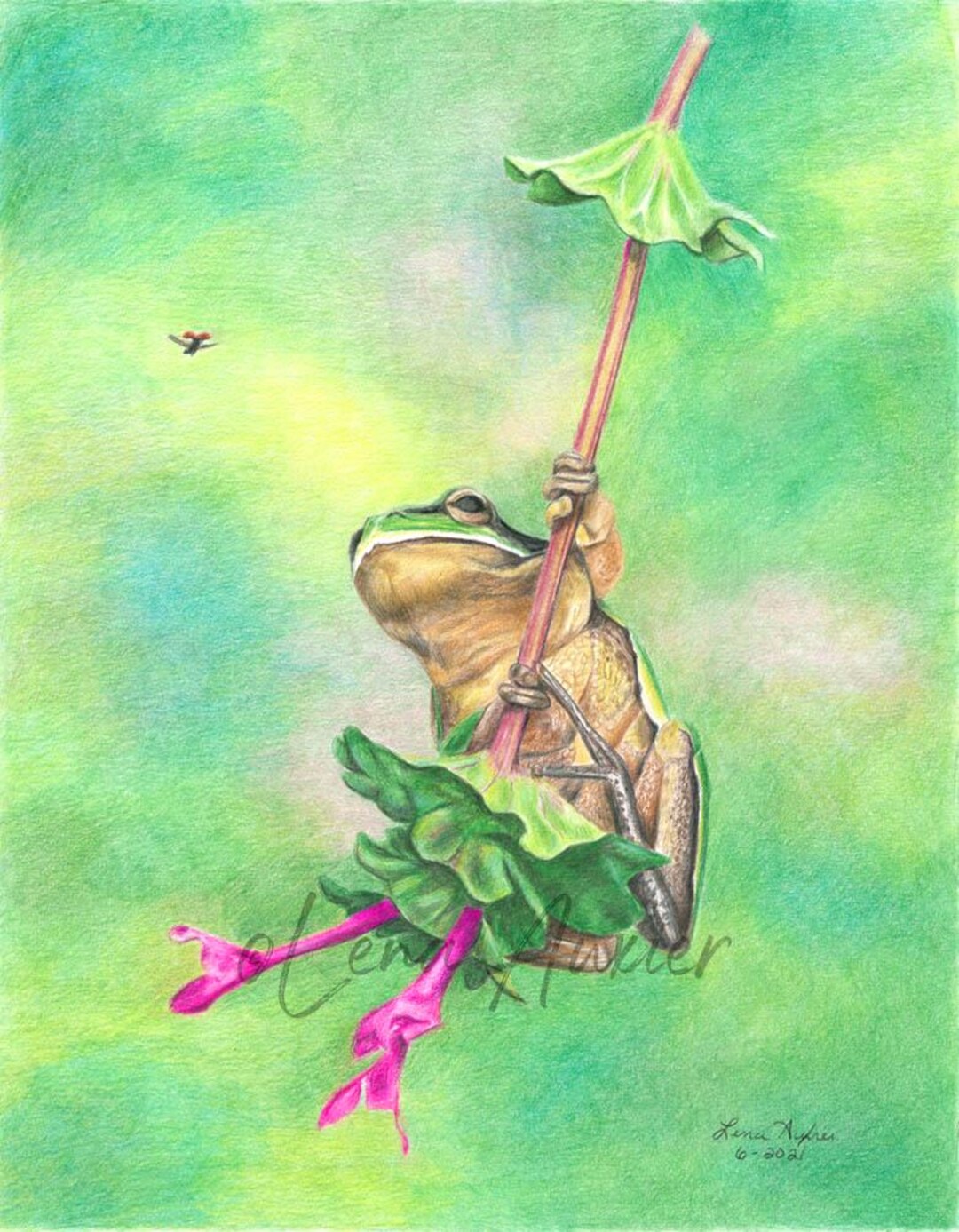 Green Cute Tree Frog on Flower Art Print, Lady Bug Insect, Tropical ...