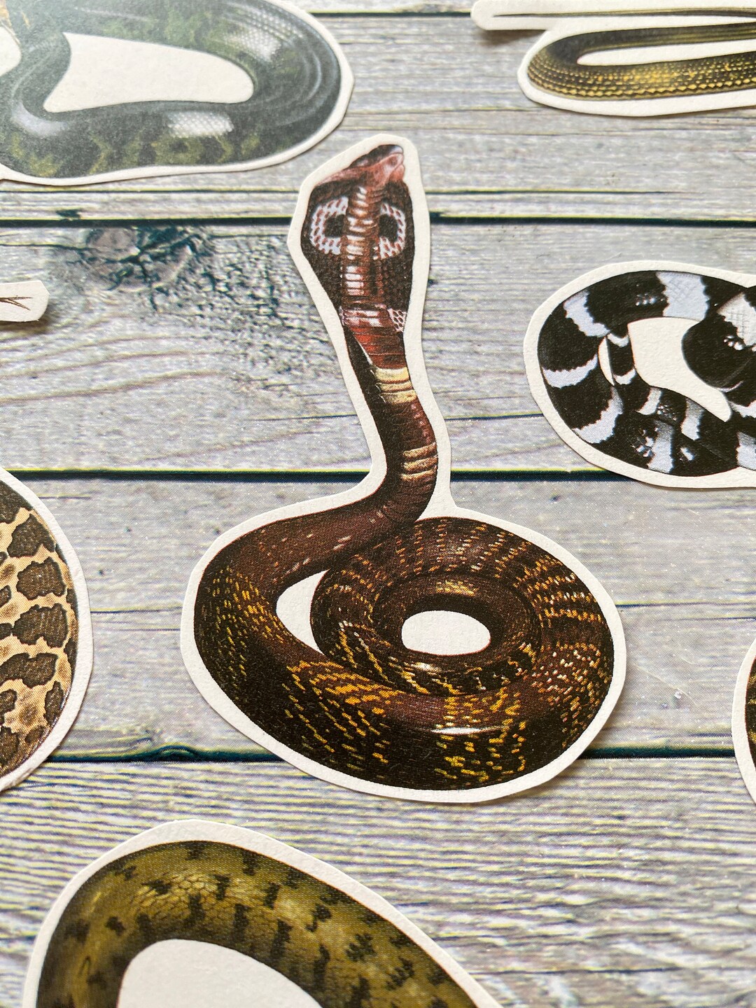 20 Snakes Fussy Cut Handmade Snake Lovers. Paper Snakes - Etsy