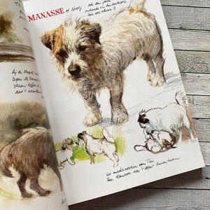 Rien Poortvliet Dog Book: Dutch Language, Delightful Images. Braaf ...