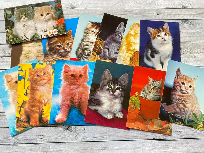 8 Vintage Dutch Cat Postcards, 1970s Kittens, Lucky Dip - Etsy
