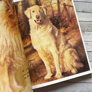 Rien Poortvliet Dog Book: Dutch Language, Delightful Images. Braaf ...