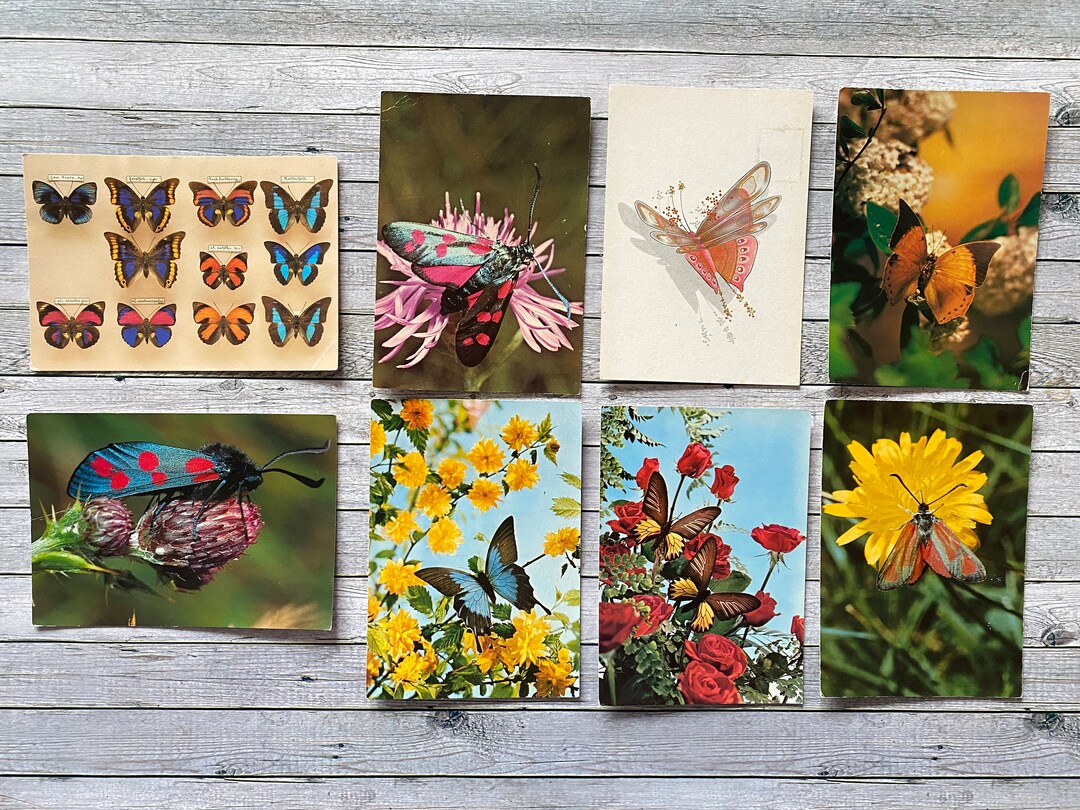 Set of 8, Vintage, Dutch, Postcards, With Butterflies, Genuine Product ...