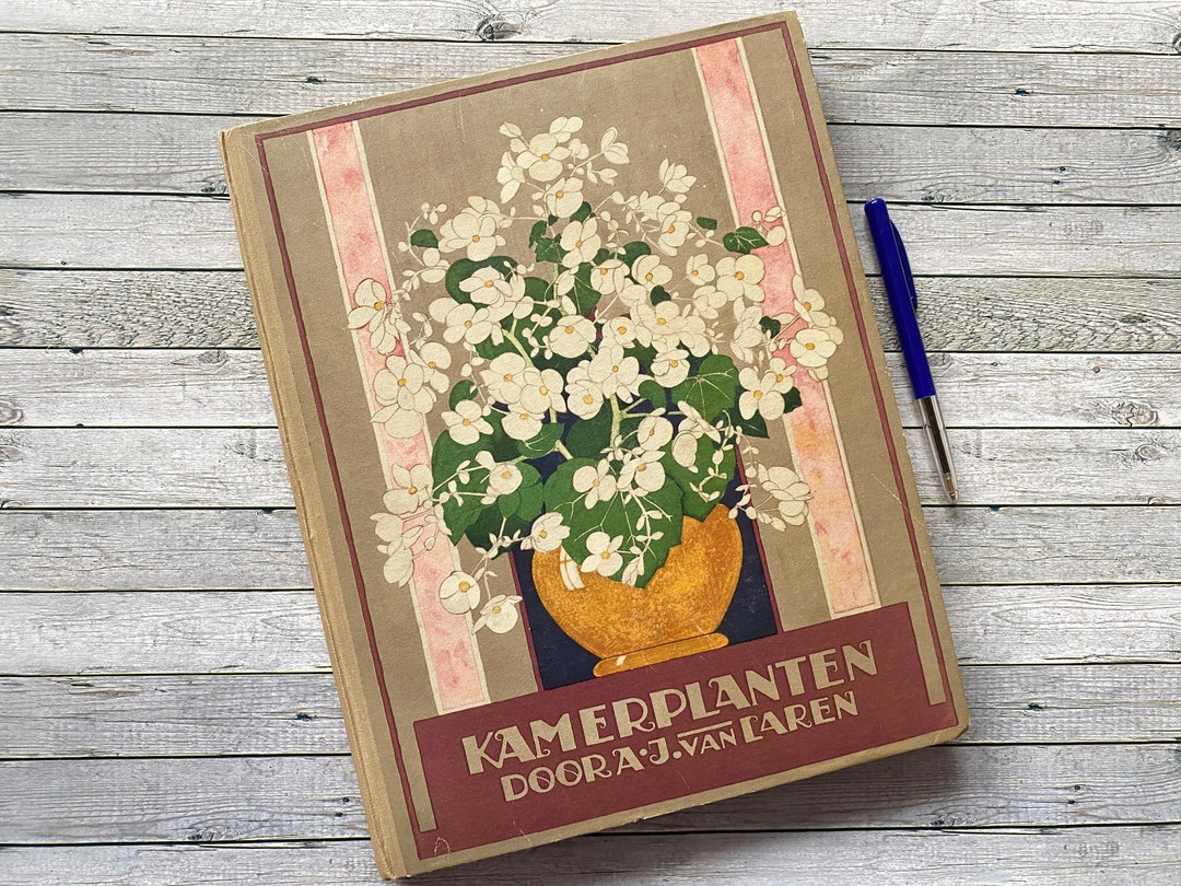 Houseplants, Dutch, Verkade, Album, Drawn, Drawing, Illustrations ...