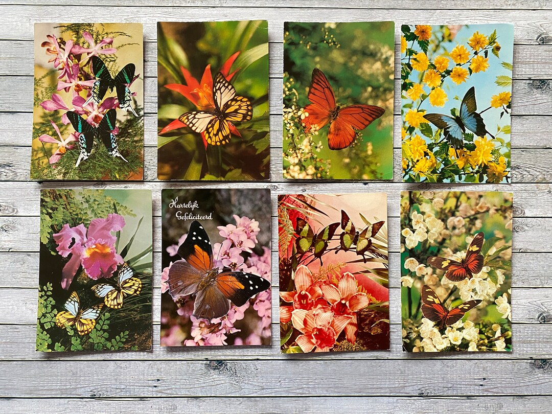 Set of 8, Vintage, Dutch, Postcards, With Butterflies, Genuine Product ...