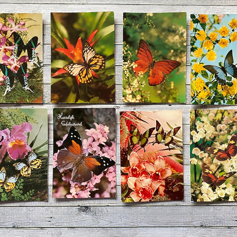 Dutch Postcard - Etsy