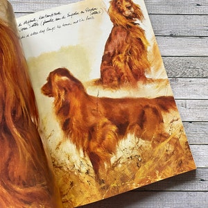 Rien Poortvliet Dog Book: Dutch Language, Delightful Images. Braaf ...