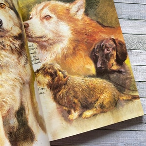 Rien Poortvliet Dog Book: Dutch Language, Delightful Images. Braaf ...