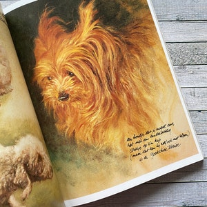 Rien Poortvliet Dog Book: Dutch Language, Delightful Images. Braaf ...
