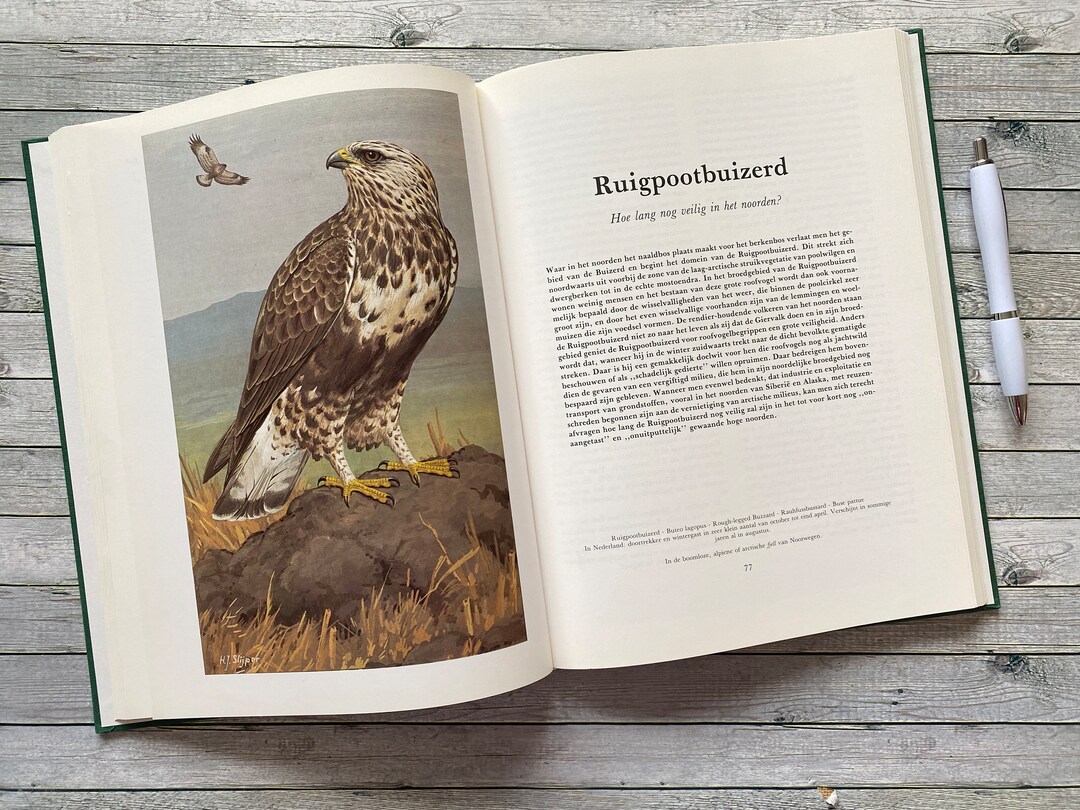Nature, Bird, Book. Birds of Prey and Owls, Dutch Book of Voous and ...