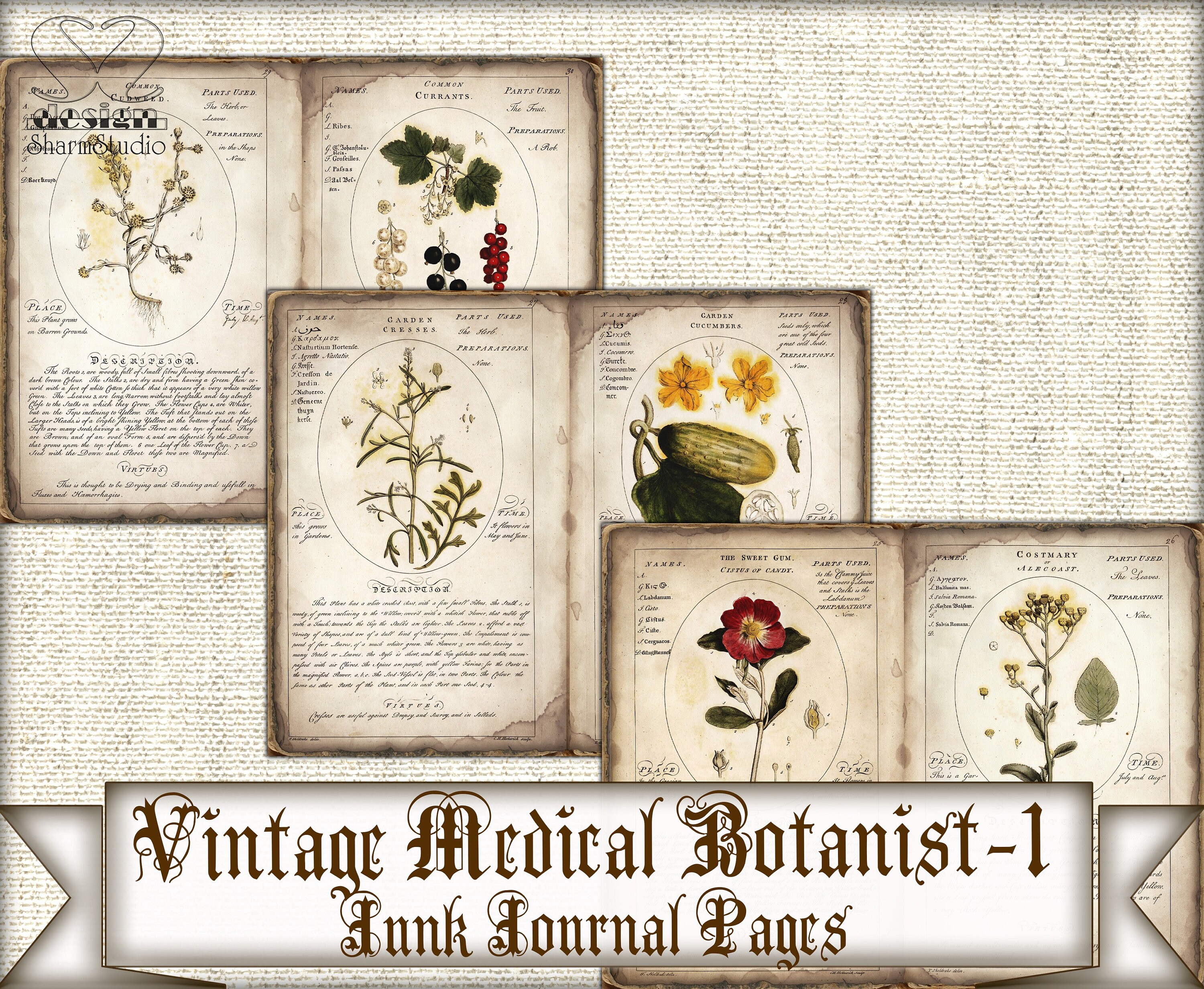 Vintage Medicinal Botany-1 Junk Journal Pagesherbal Plants - Etsy