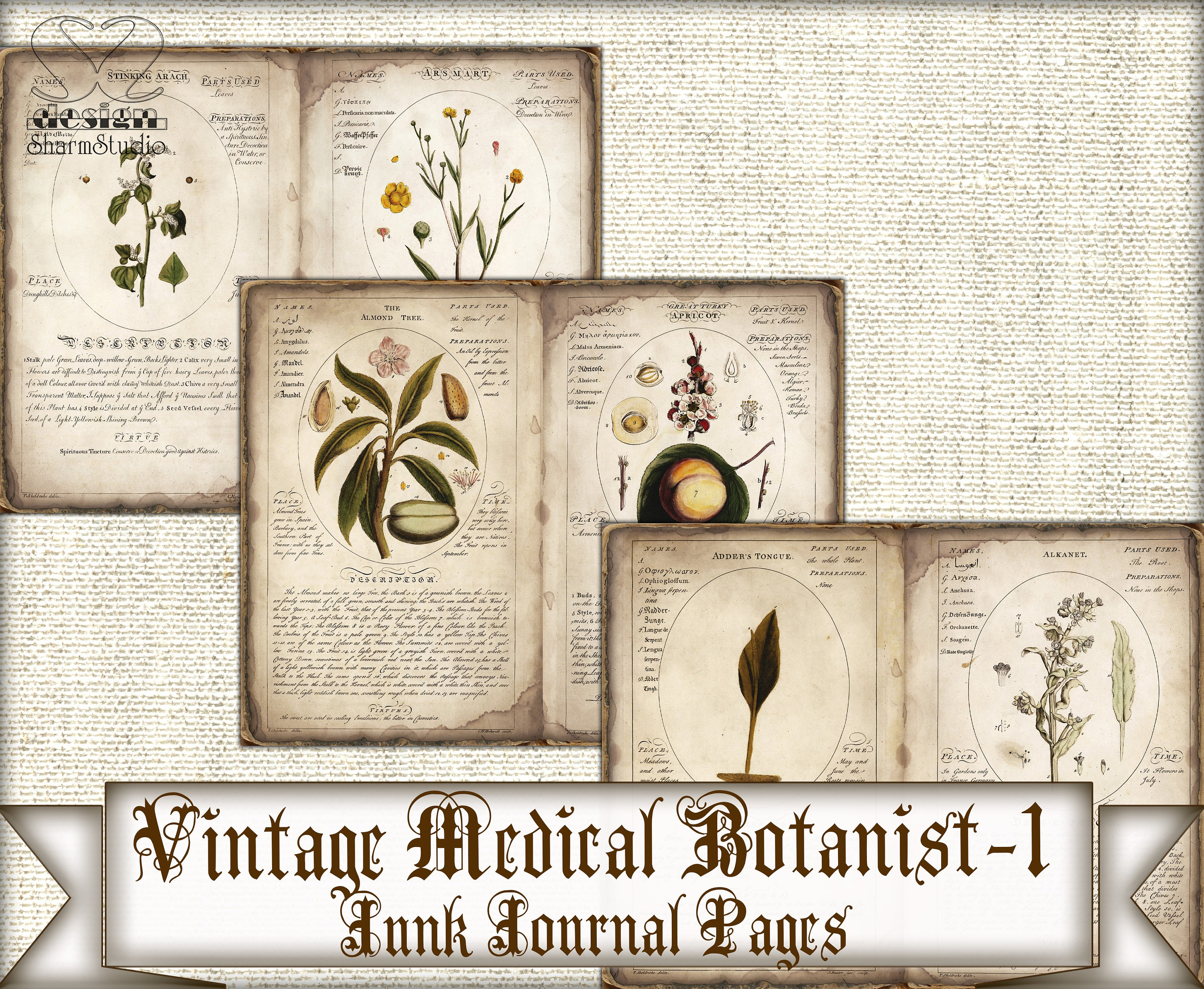 Vintage Medicinal Botany-1 Junk Journal Pagesherbal Plants - Etsy