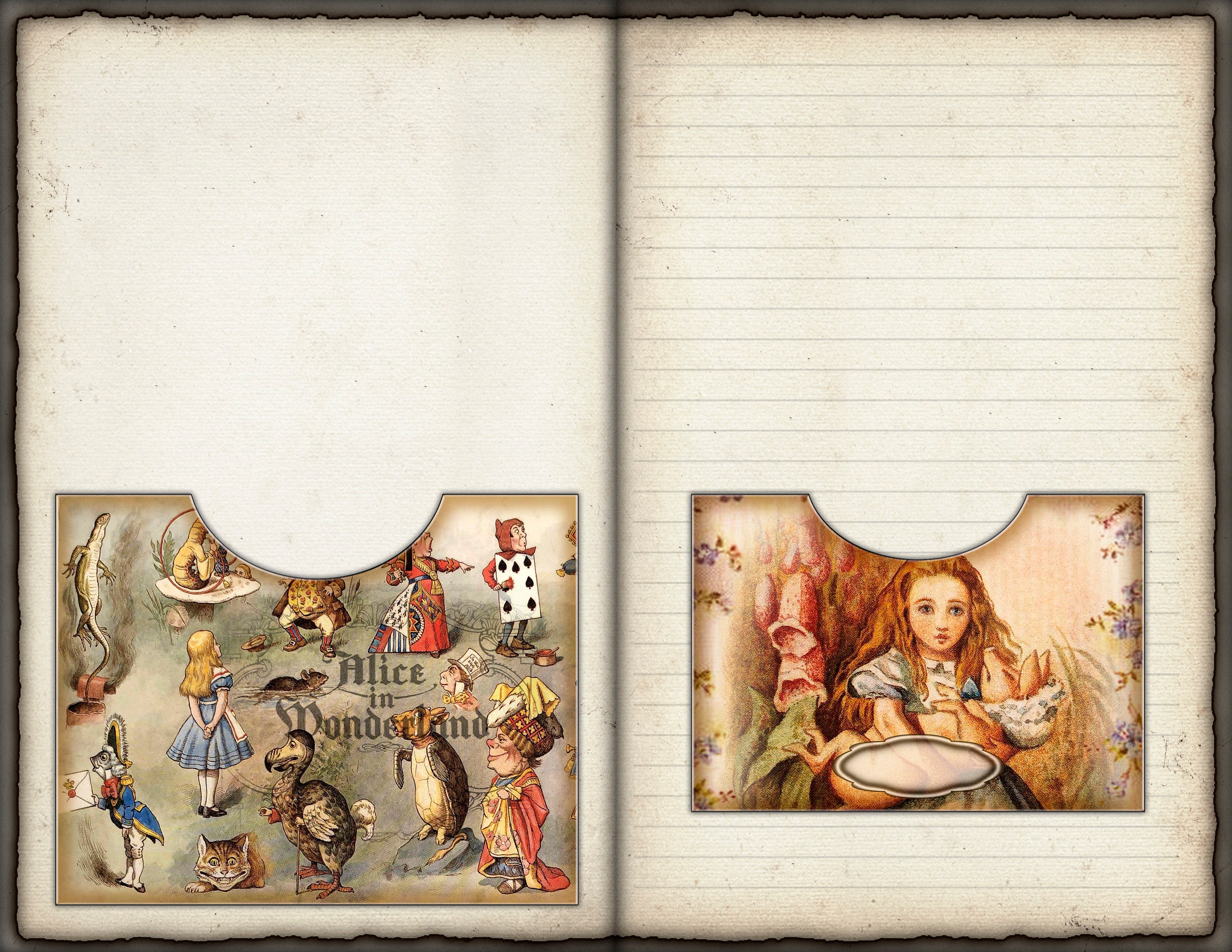 Alice in Wonderland Digital Pocket Journal Printablepaper | Etsy