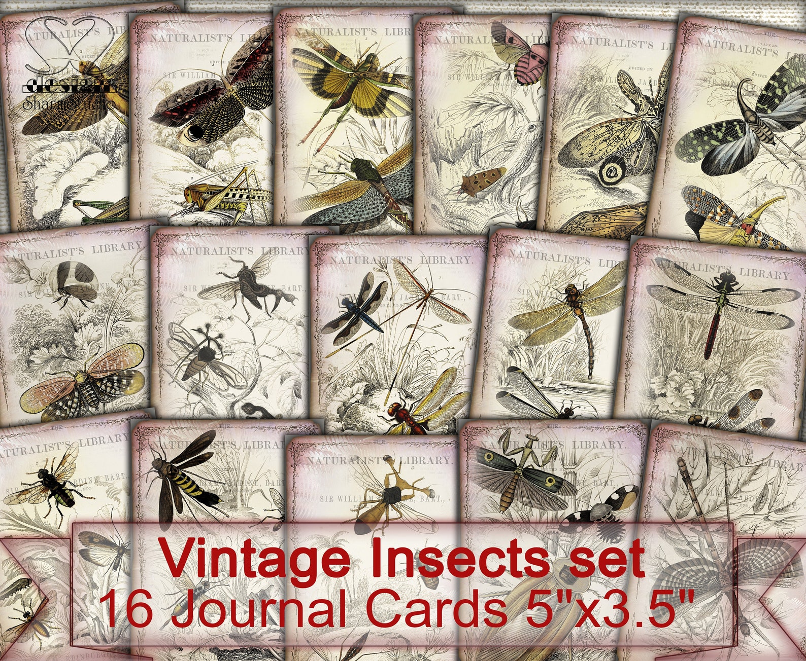 Vintage Insects Cards Set Digital Collage Sheet - Etsy