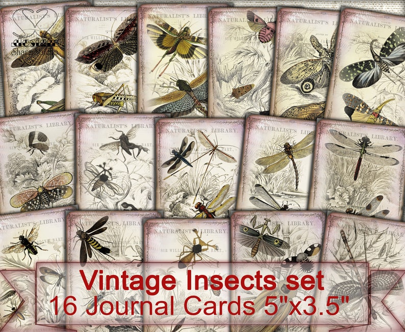 Vintage Insects Cards Set Digital Collage Sheet - Etsy