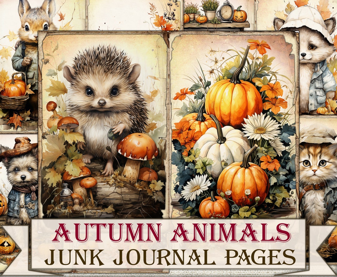 Autumn Animals Collage Digital Picture Printables Junk Journal Pages - Etsy