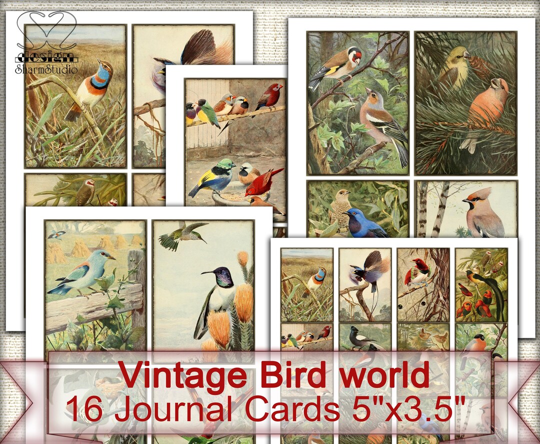 Vintage Bird Cards Set,digital Collage Sheet,bird World - Etsy