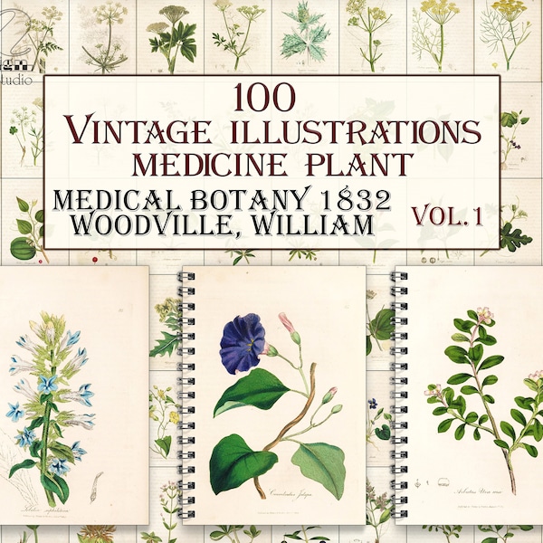 Botanical - Etsy