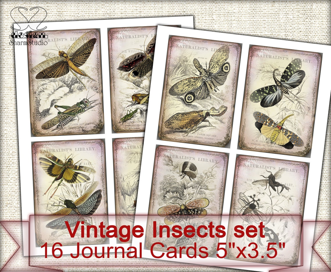 Vintage Insects Cards Set Digital Collage Sheet - Etsy