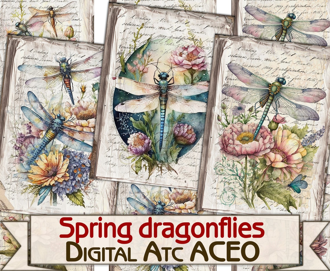Vintage Spring Dragonflies Card Set,collage Insects Digital Picture ...