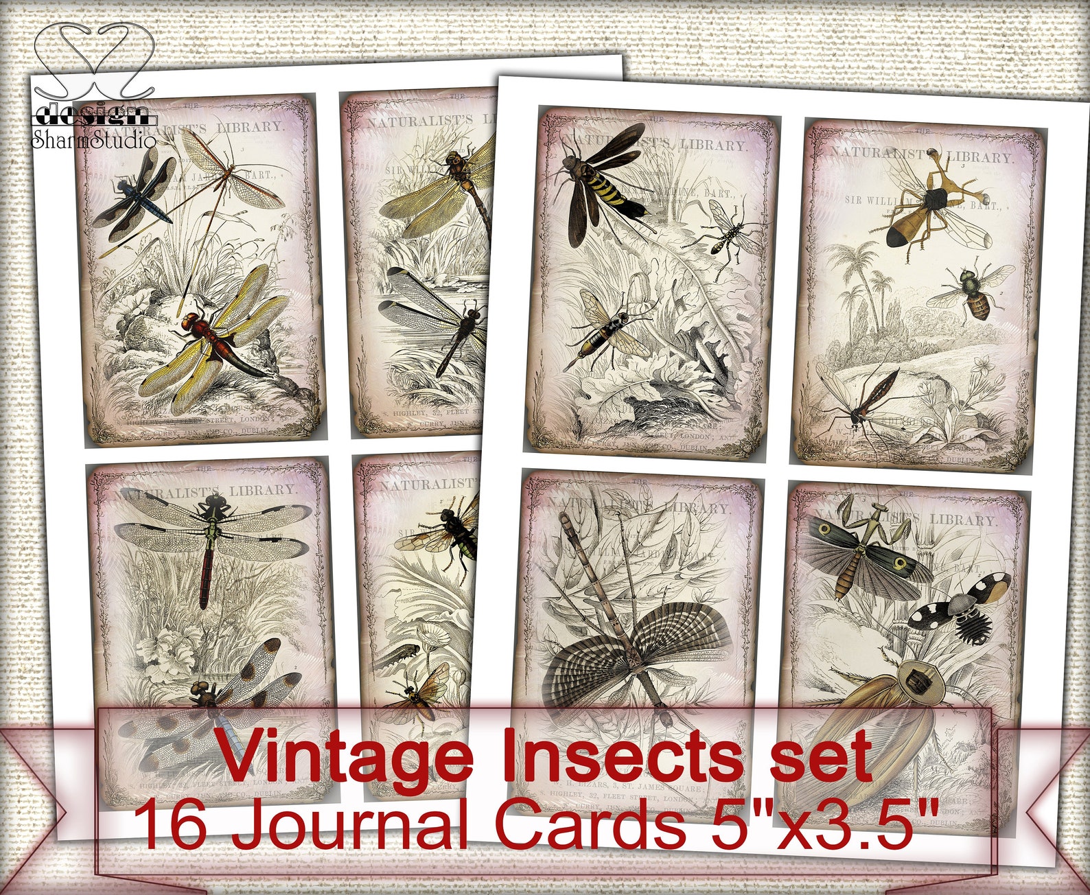 Vintage Insects Cards Set Digital Collage Sheet - Etsy