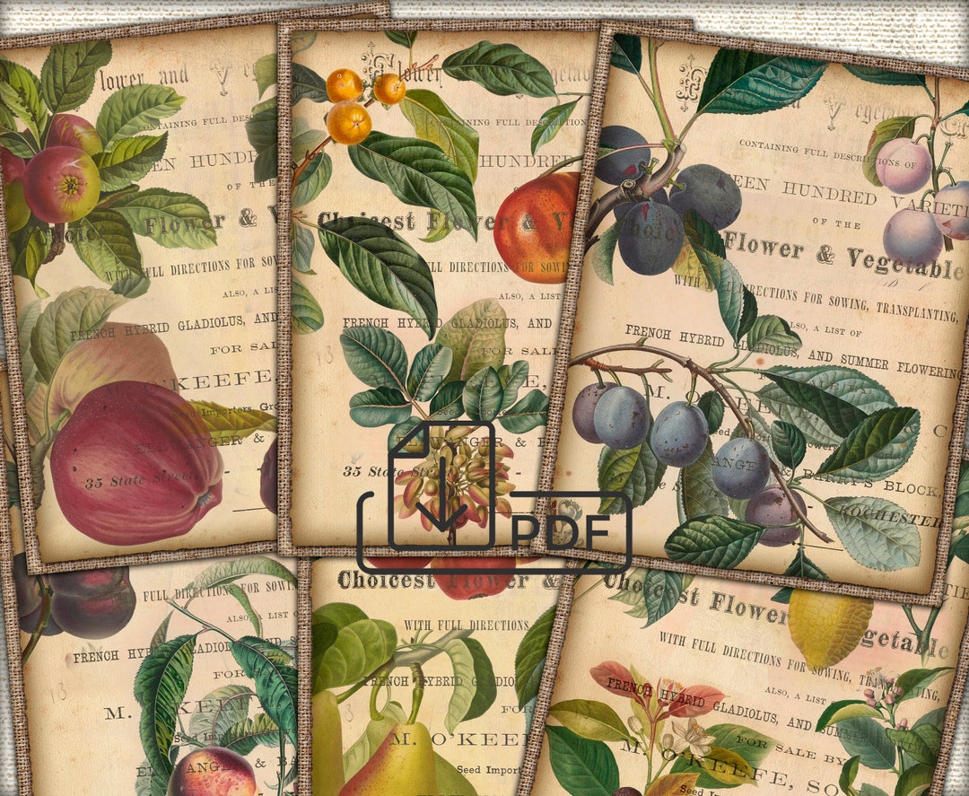 This item is unavailable - Etsy