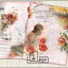 Vintage Poppies Digital Picture Collage,printable Papers - Etsy