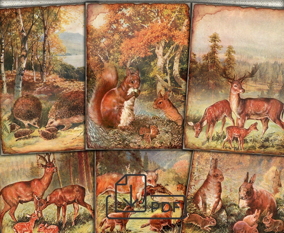 Vintage Forest Animals Collage Printable Digital Cards Atc Aceo,junk ...