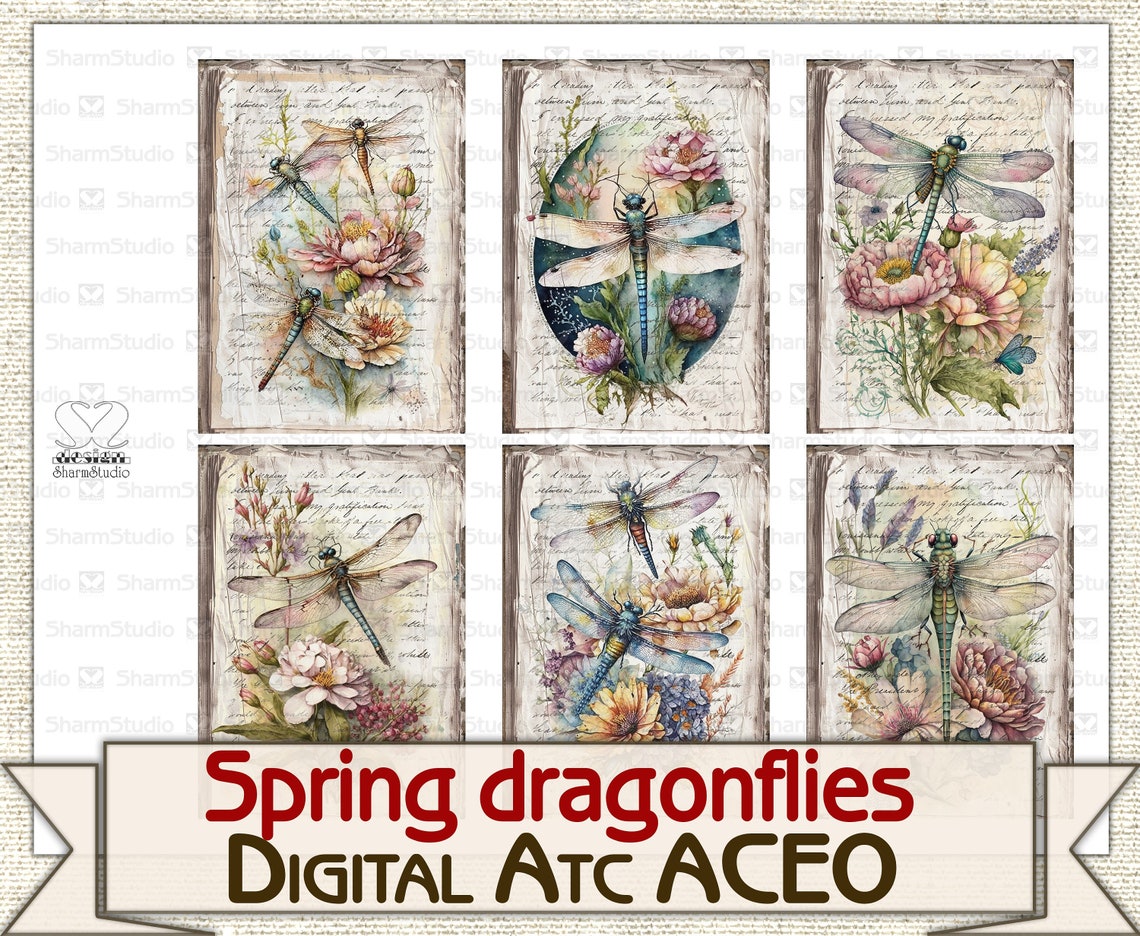 Vintage Spring Dragonflies Card Set,collage Insects Digital Picture ...