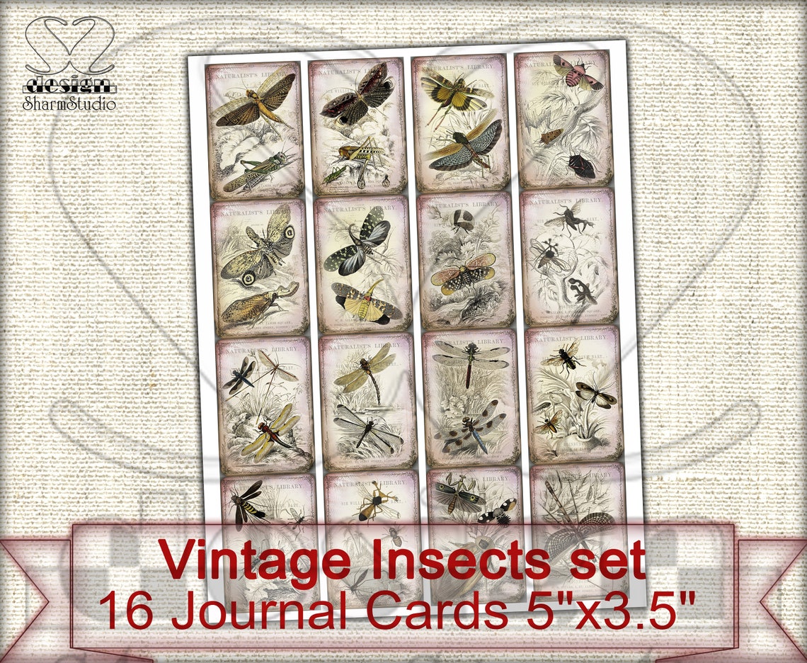 Vintage Insects Cards Set Digital Collage Sheet - Etsy